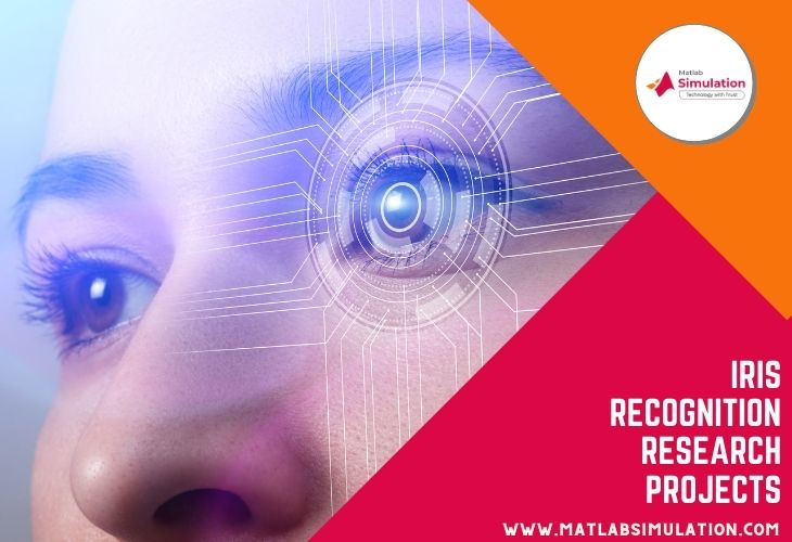 Iris Recognition Using Matlab Project Code Development Assistance
