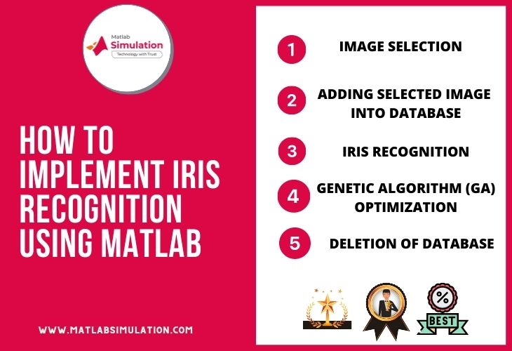 Iris Recognition Using Matlab Project Code Development Assistance